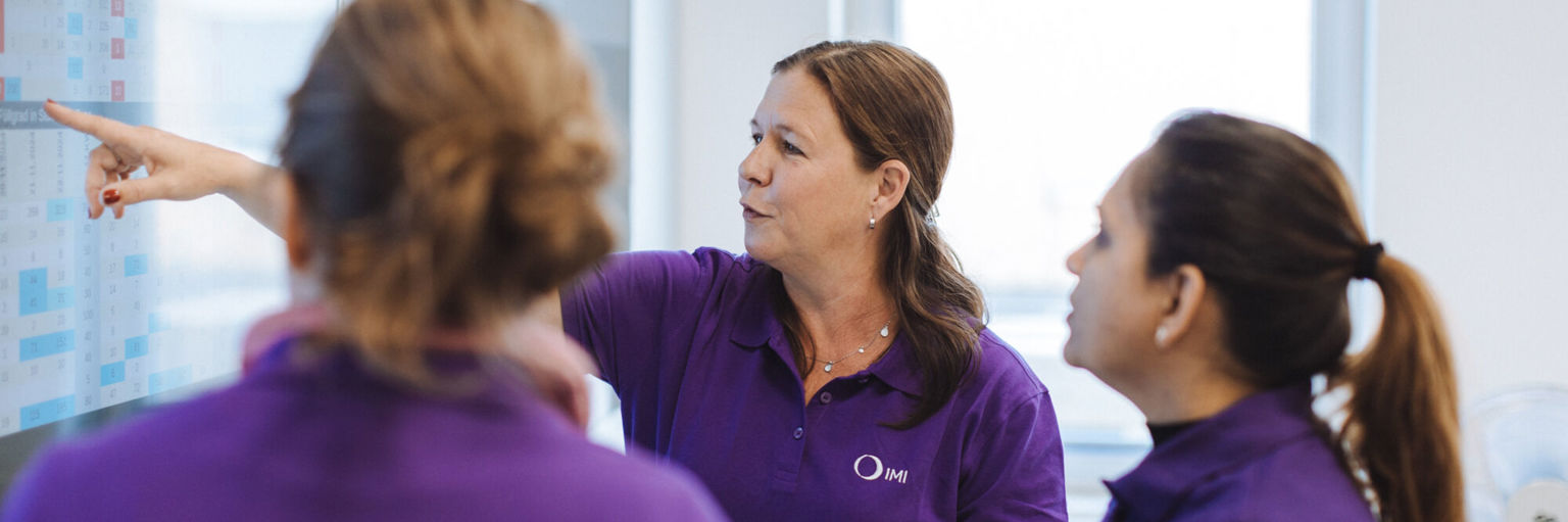 One IMI operating model - About us - IMI plc